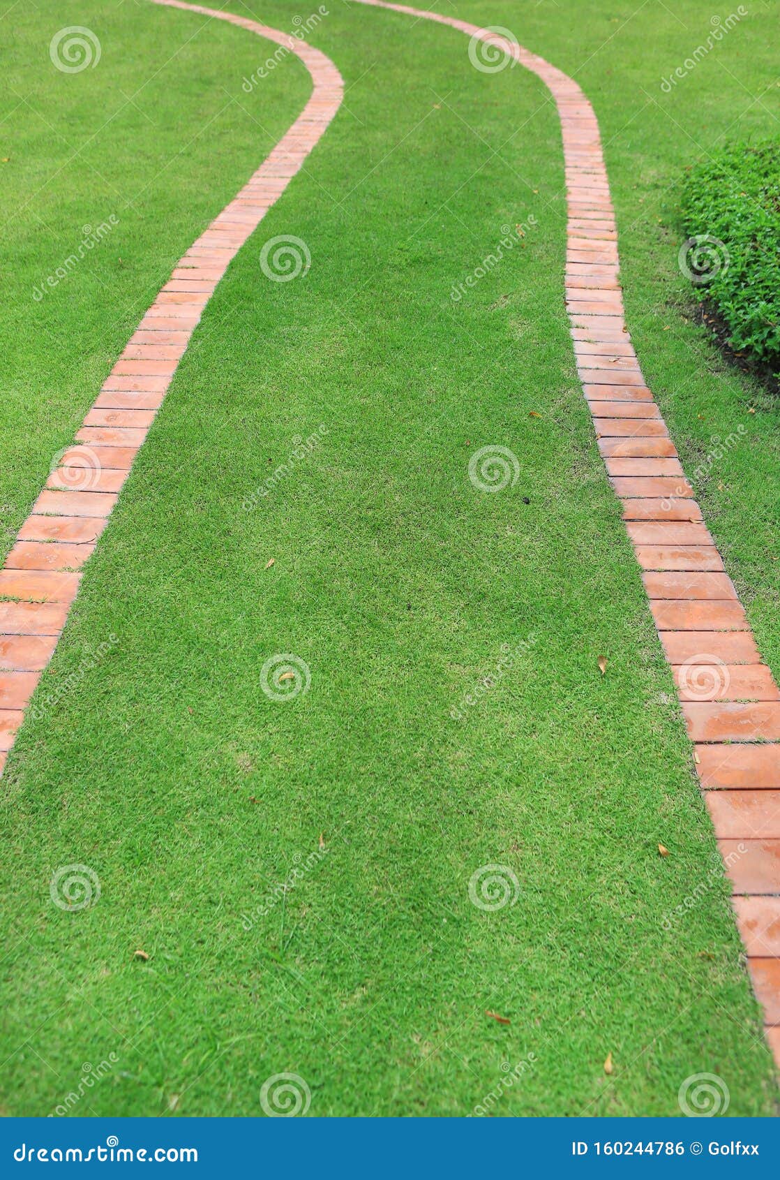Pathway through green lawn stock photo. Image of forest - 160244786