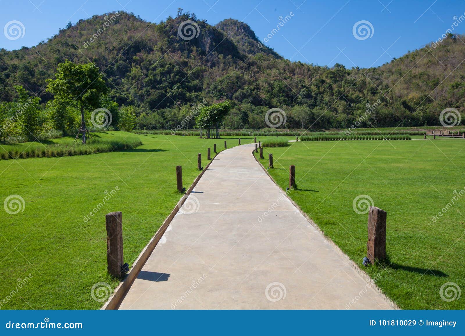 Pathway with green stock image. Image of material, landscape - 101810029