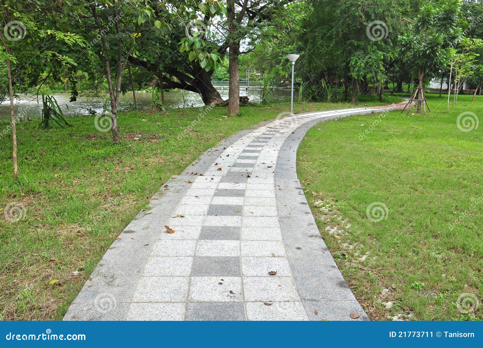 Pathway in green park stock image. Image of nature, park - 21773711