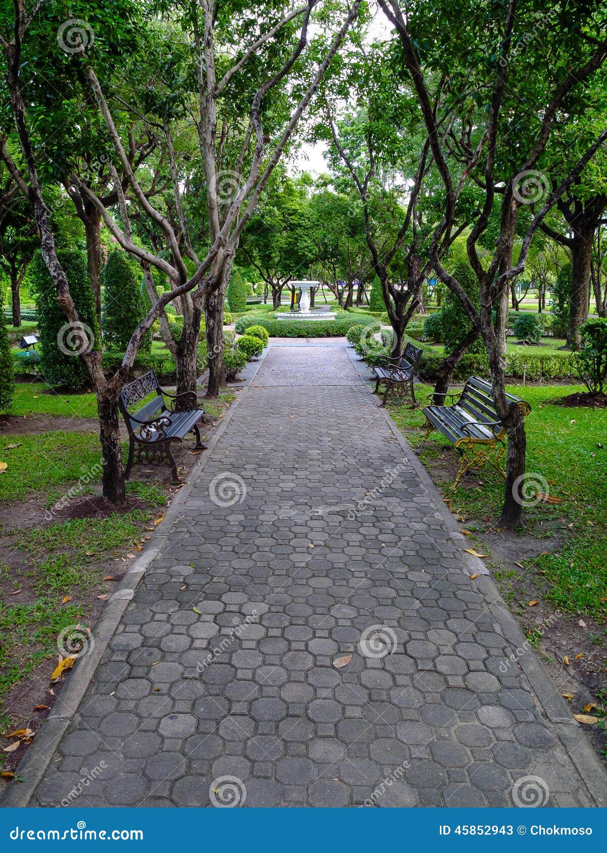 Pathway stock image. Image of city, beauty, relax, landscape - 45852943