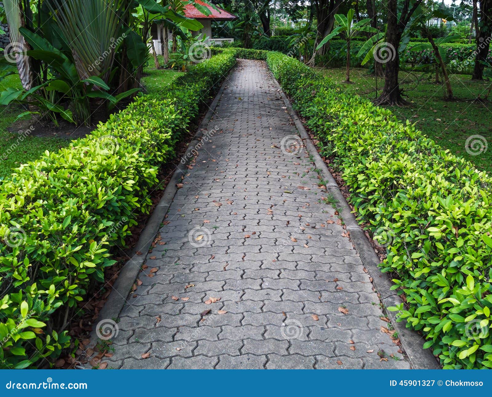 Pathway stock image. Image of peaceful, holiday, town - 45901327