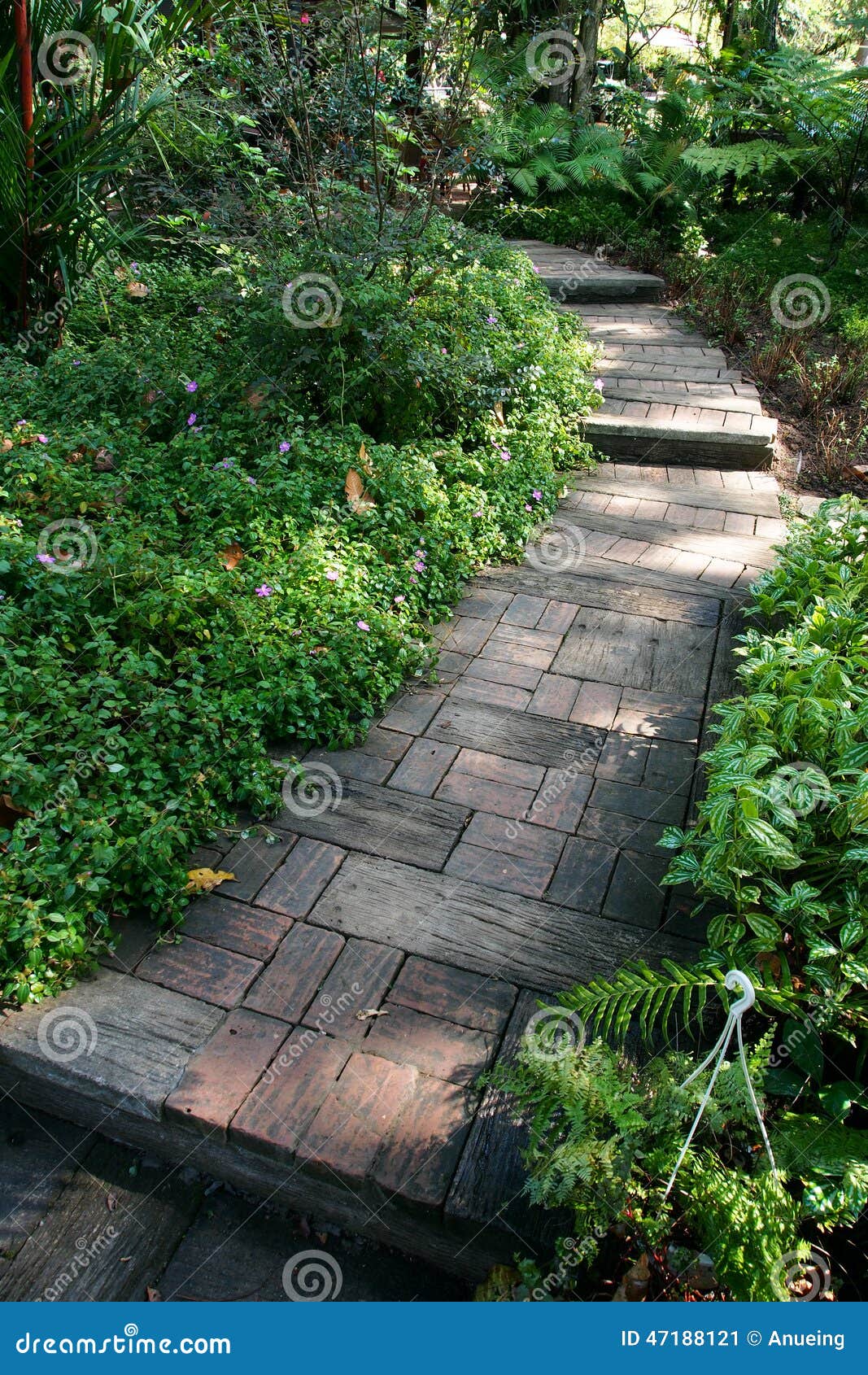 Pathway stock image. Image of garden, peaceful, landscaped - 47188121