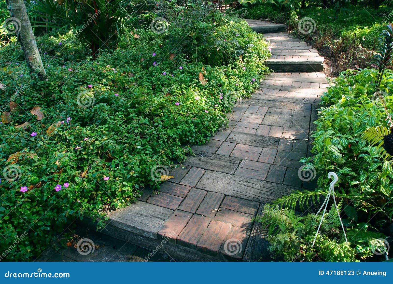 Pathway stock image. Image of pavement, footpath, sidewalk - 47188123