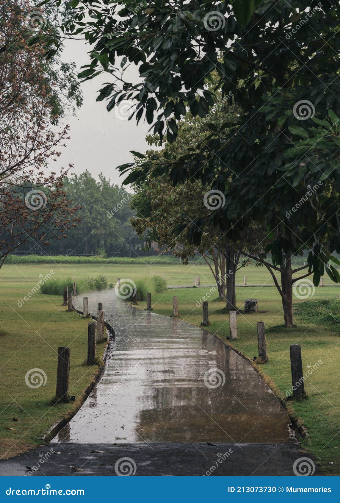 Pathway in Green Park on Rainy Day Stock Photo - Image of foliage ...
