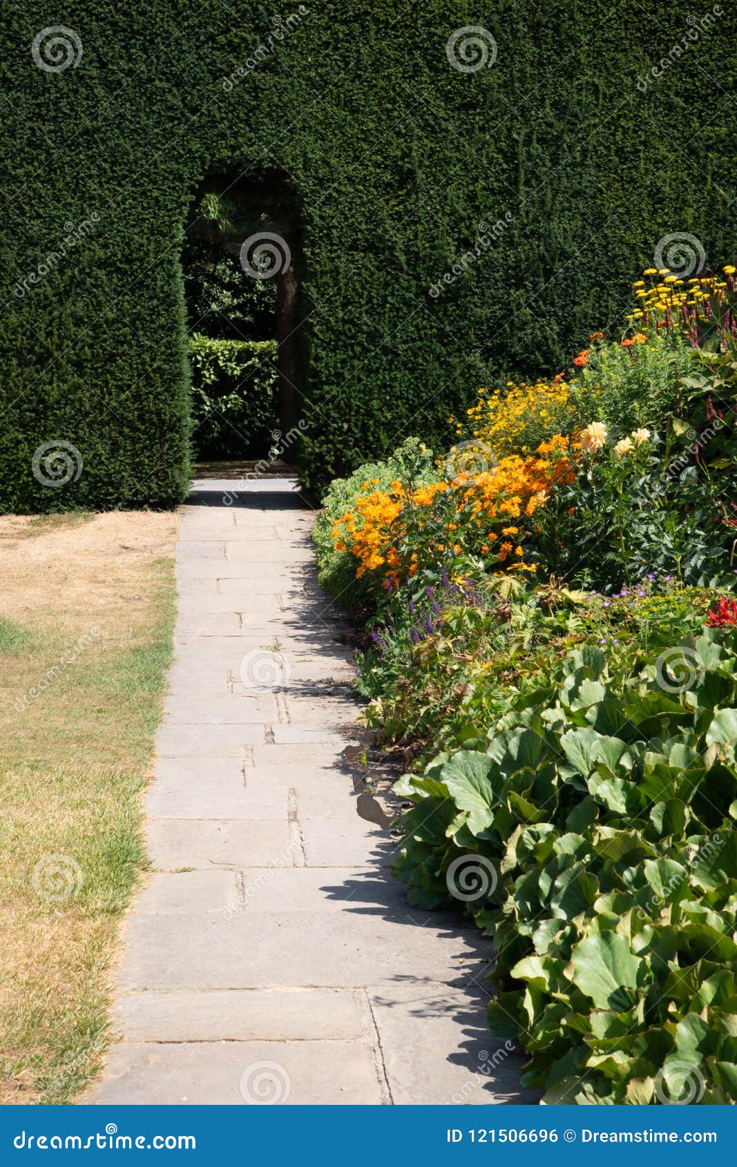 Pathway through hedge editorial photo. Image of arch - 121506696