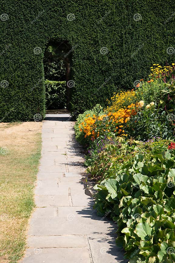 Pathway through hedge editorial photo. Image of arch - 121506696