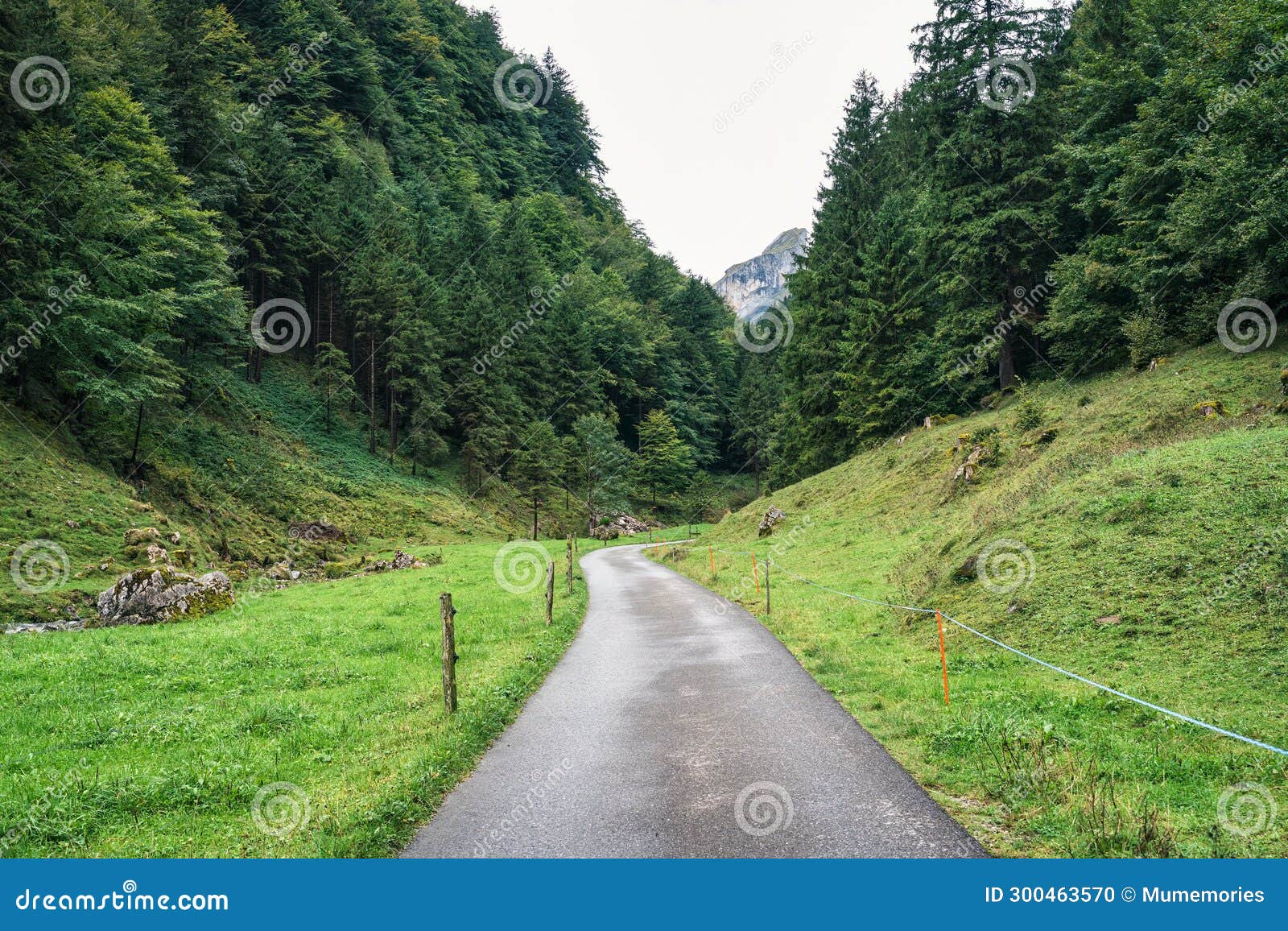 Pathway of Hiking Trail in the Valley during Summer Stock Photo - Image ...
