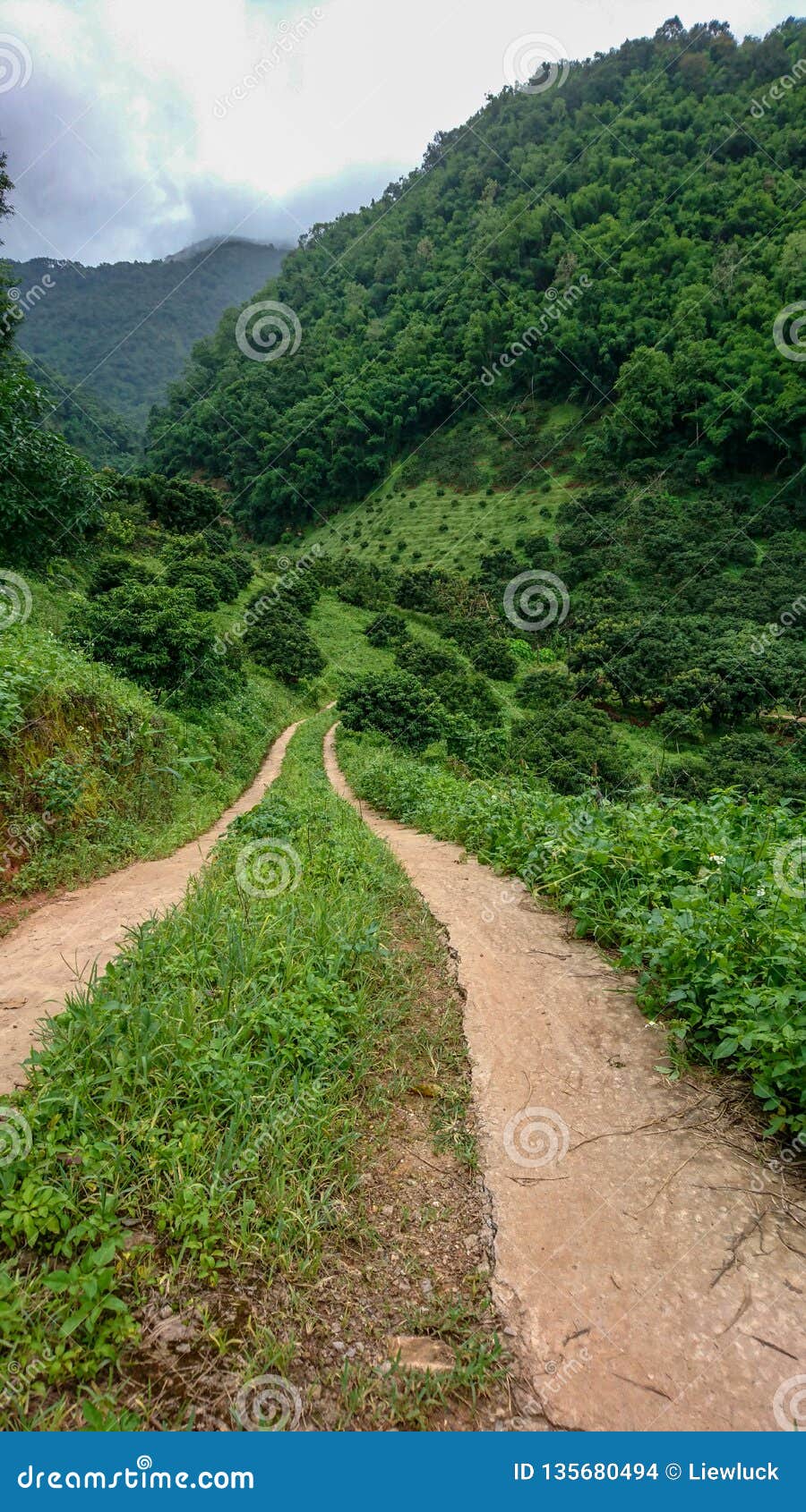 Pathway On A Hill With Wildflowers Stock Photography | CartoonDealer ...