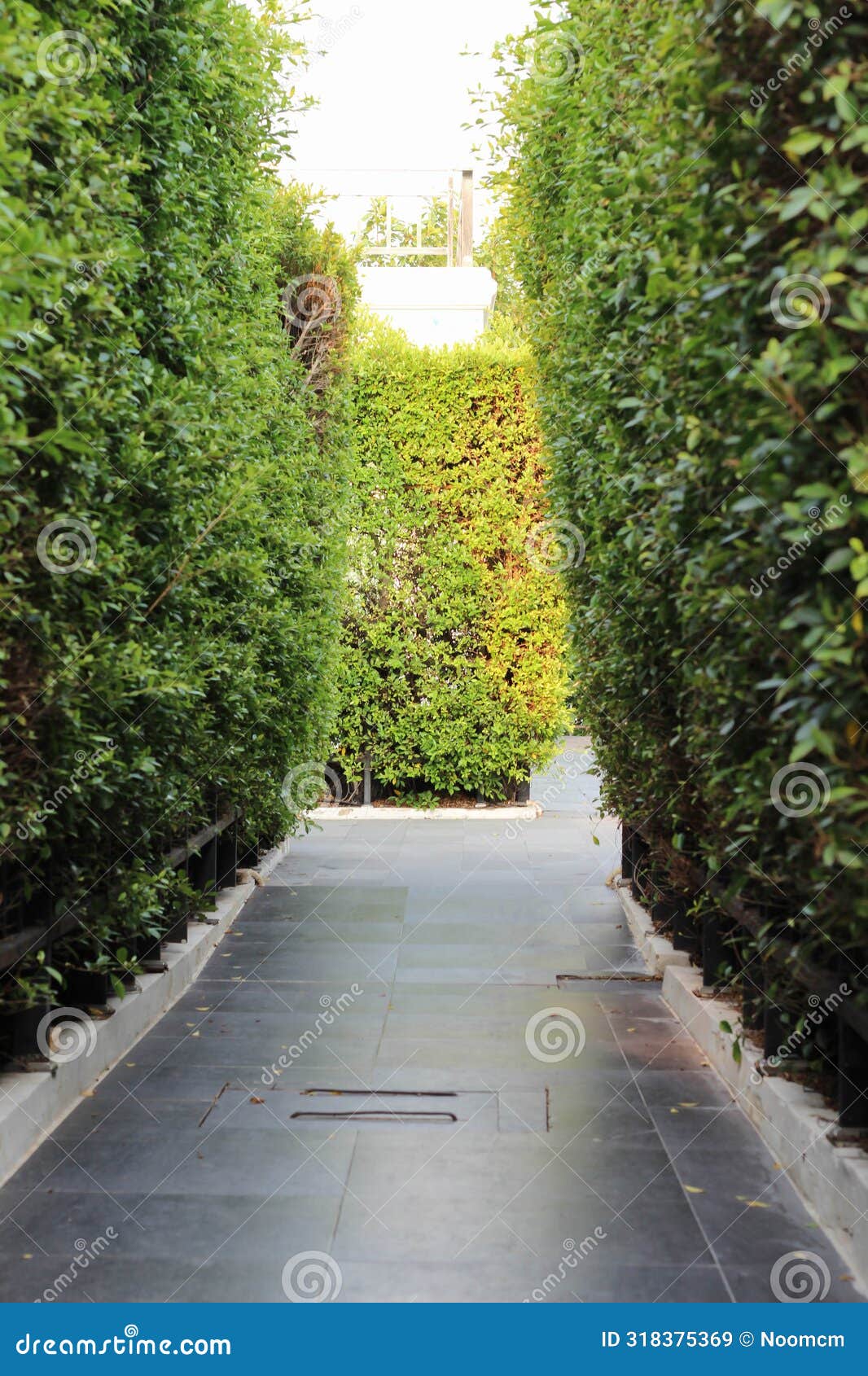 Pathway in hotel resort stock image. Image of stone - 318375369