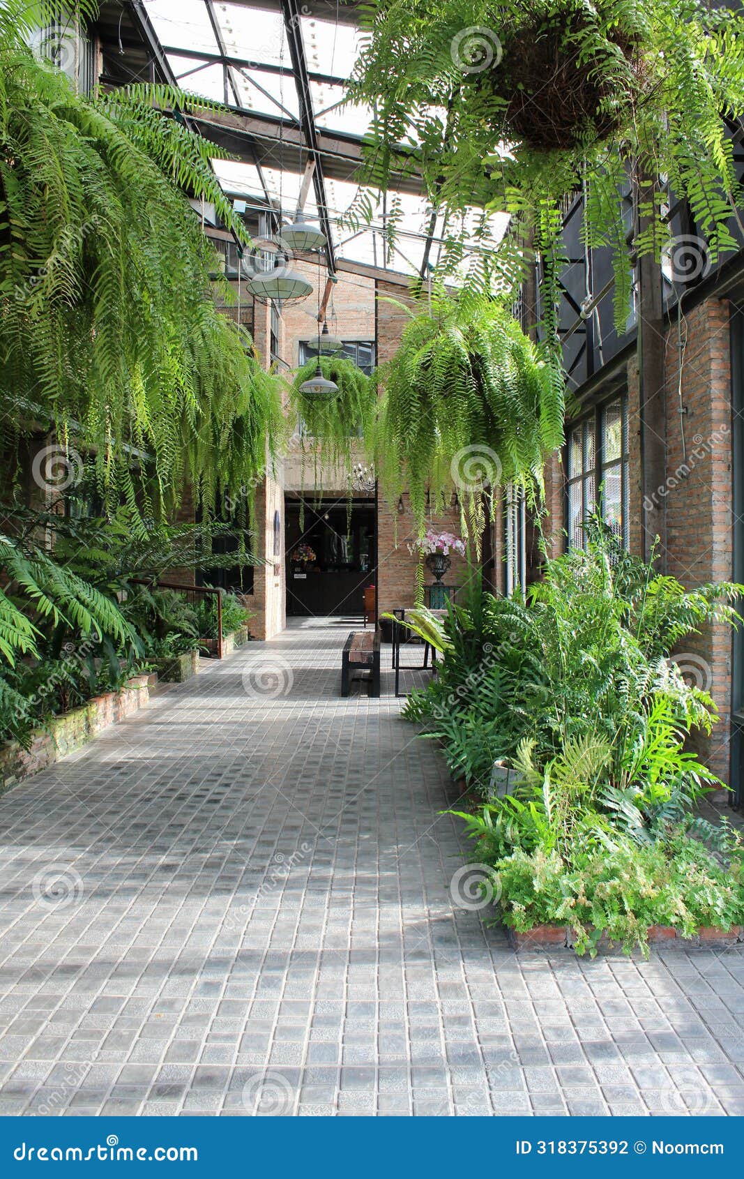 Pathway in hotel resort stock photo. Image of landscape - 318375392