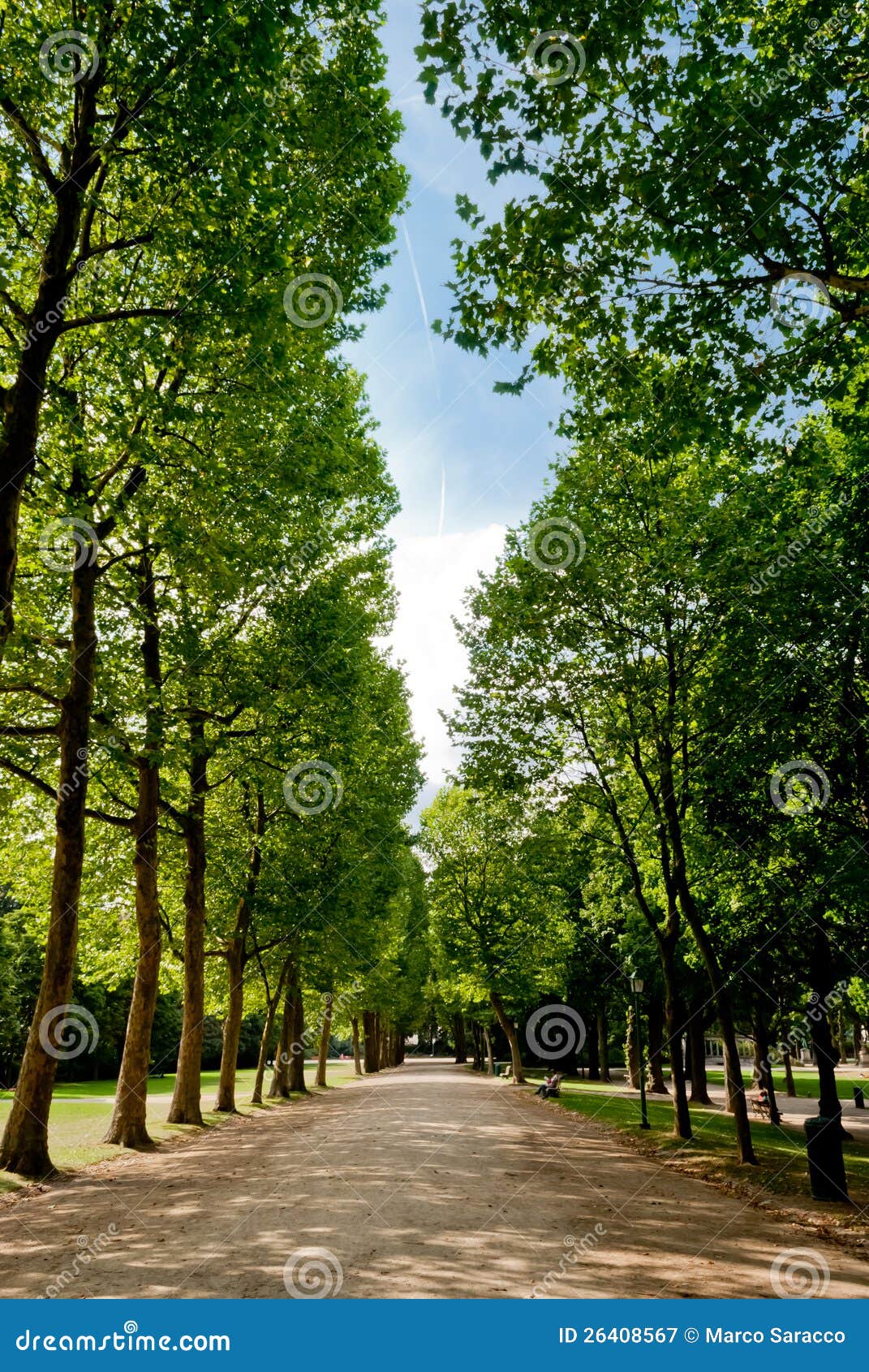 Pathway inside a forest stock image. Image of path, pathway - 26408567