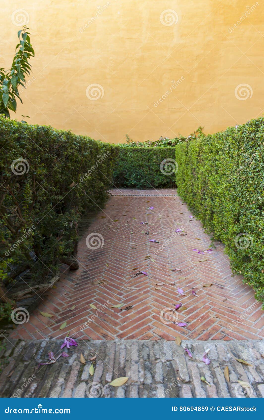 Pathway Inside a Labyrinth in a Garden with Orange Plaster Wall Stock ...