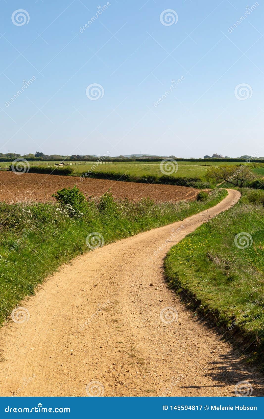 A Pathway through Farmland stock image. Image of farmland - 145594817