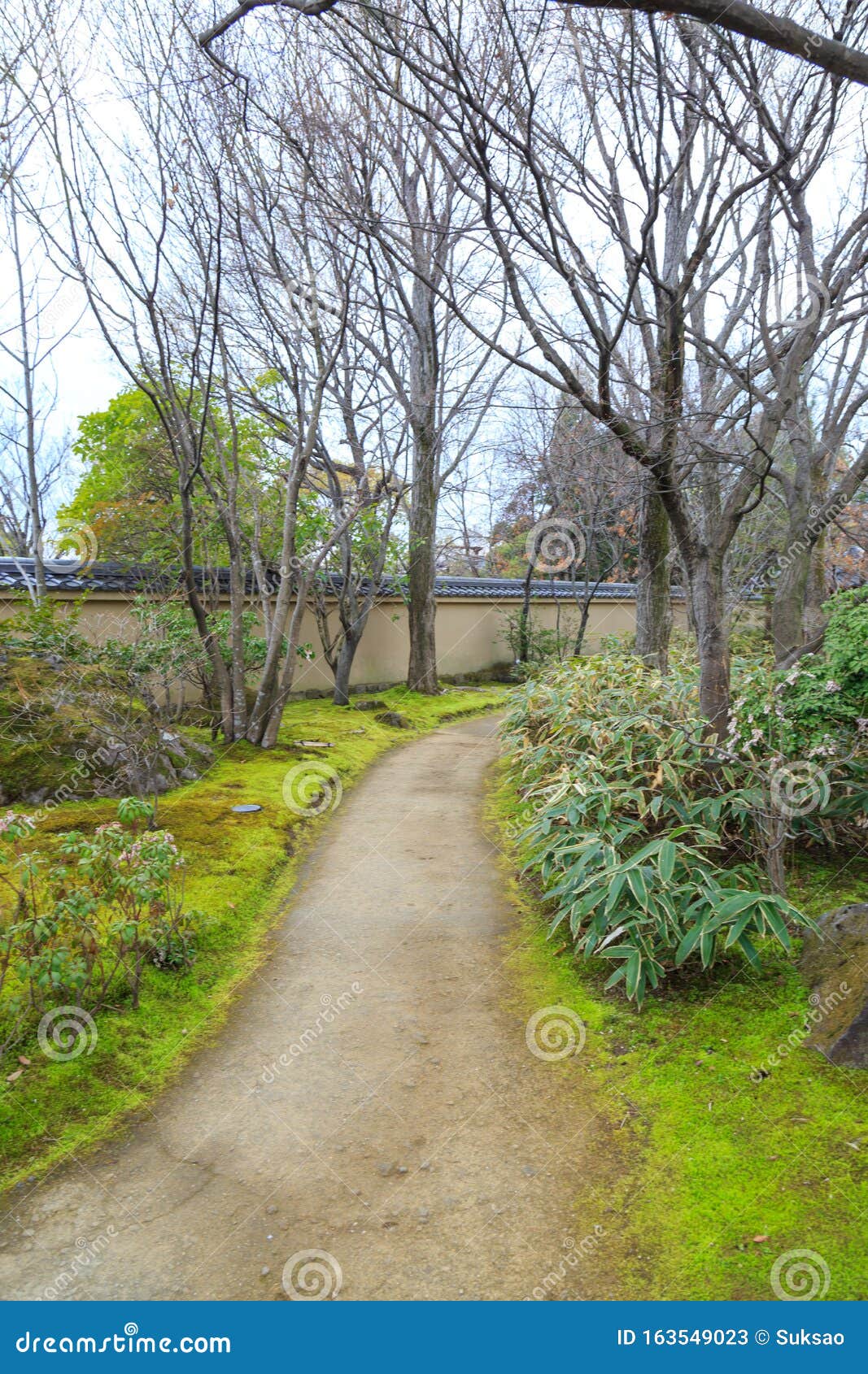 Pathway in japan garden stock image. Image of leaf, growth - 163549023