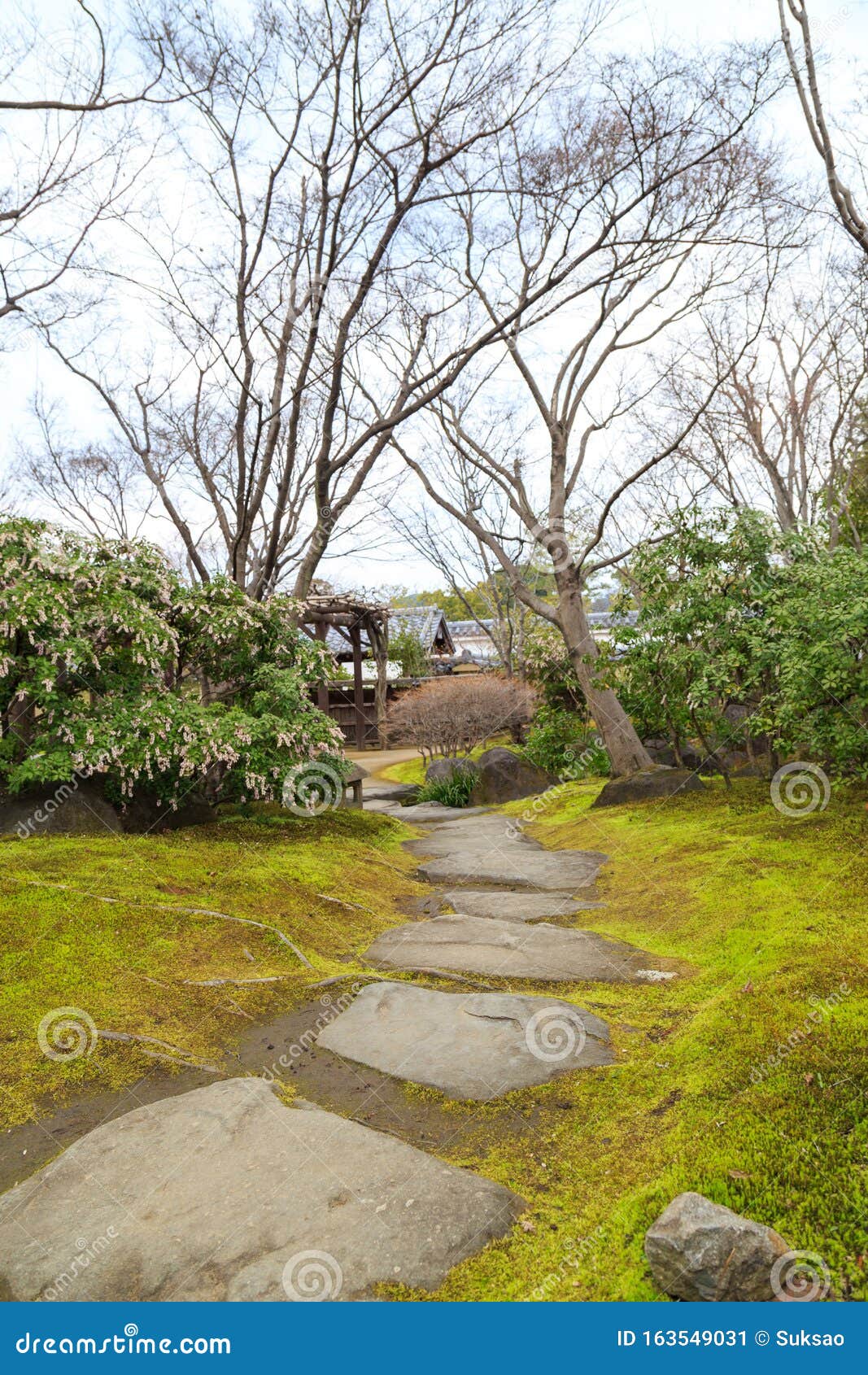 Pathway in japan garden stock image. Image of growth - 163549031