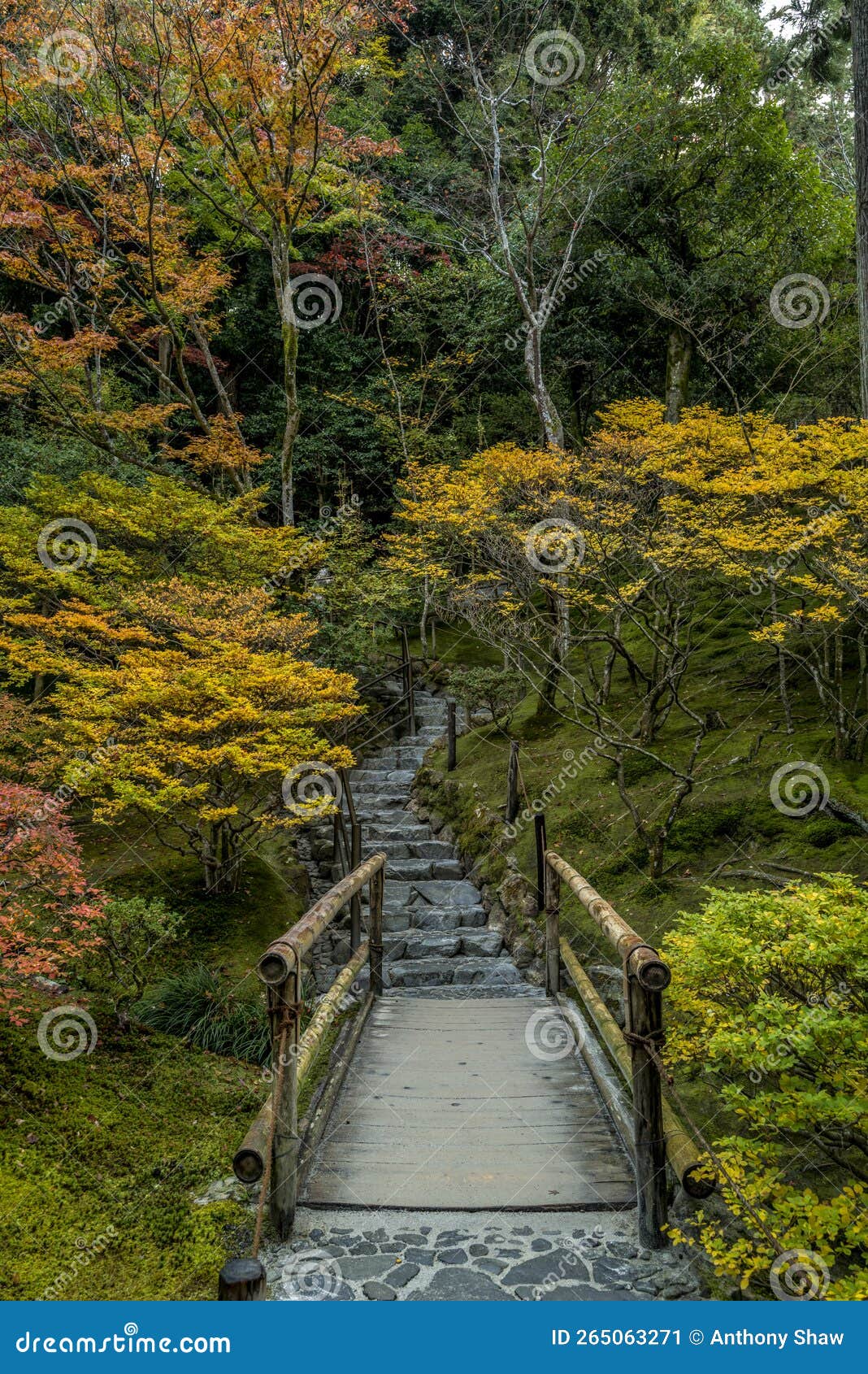 A Pathway in a Japanese Garden Stock Image - Image of asian, path ...