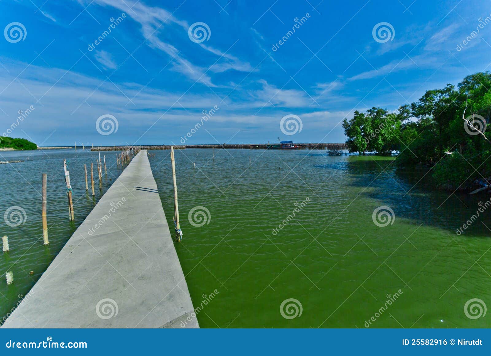 Pathway,Jetty stock photo. Image of natural, road, season - 25582916