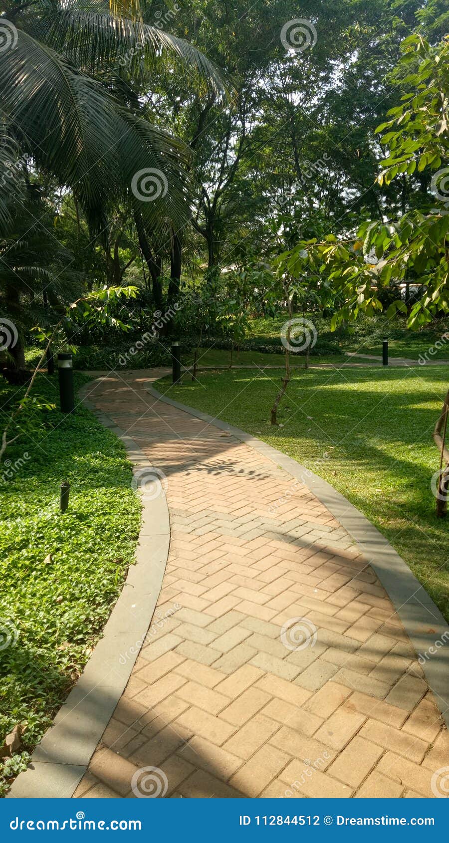 Pathway stock photo. Image of walk, pathway, path - 112844512