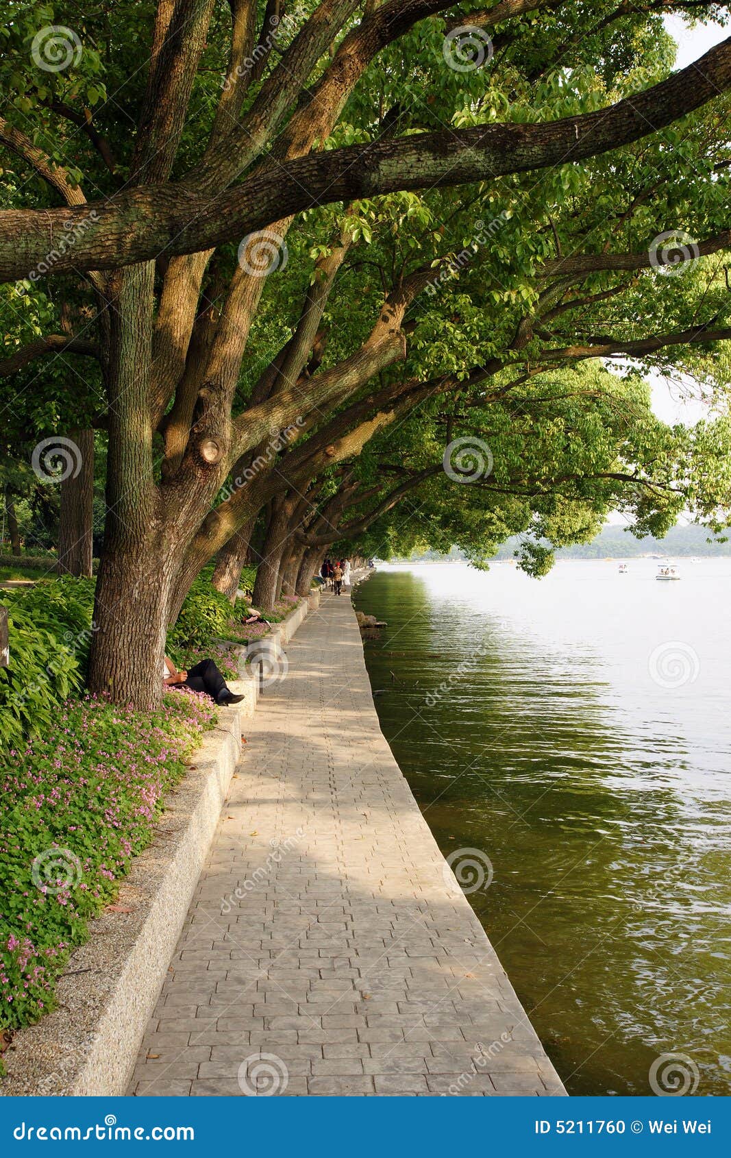 Pathway by lake stock photo. Image of route, water, distance - 5211760