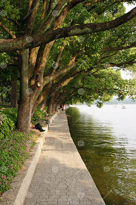 Pathway by lake stock photo. Image of route, water, distance - 5211760