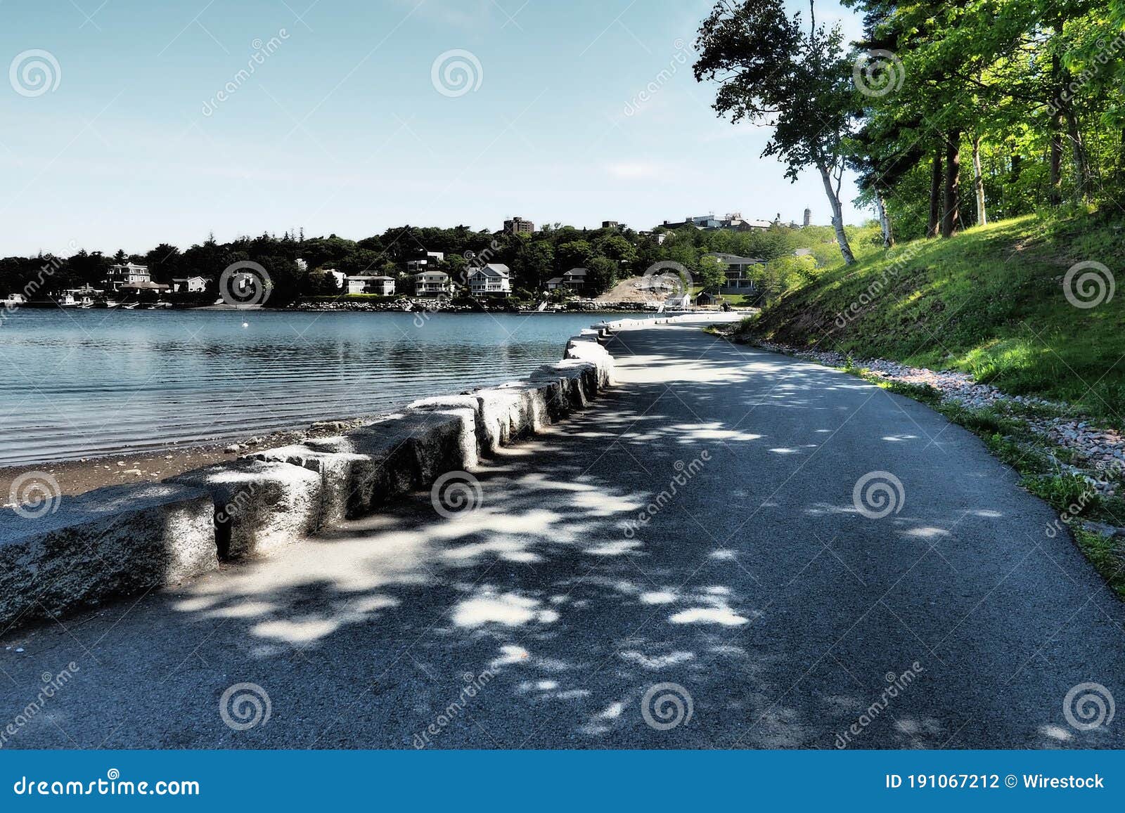 Pathway by the Lake Captured during the Daytime Stock Photo - Image of ...