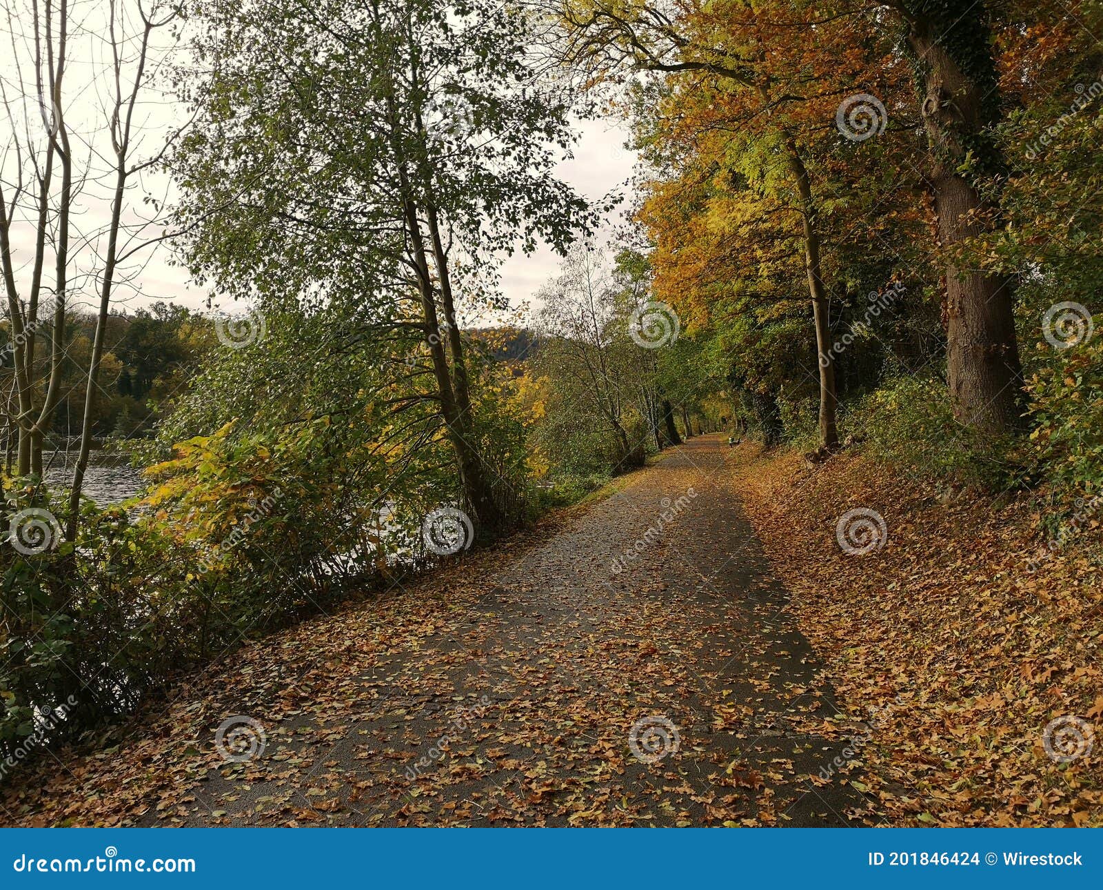 Pathway by a Lake in a Forest Captured during Autumn Stock Photo ...