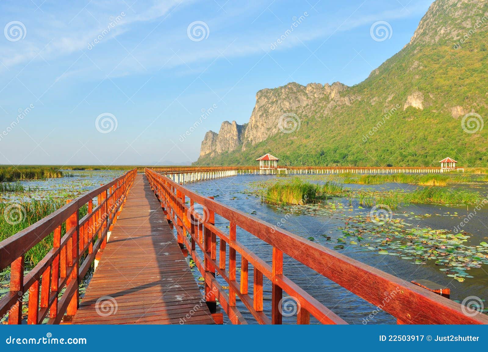 Pathway on the Lake in National Park Stock Image - Image of national ...