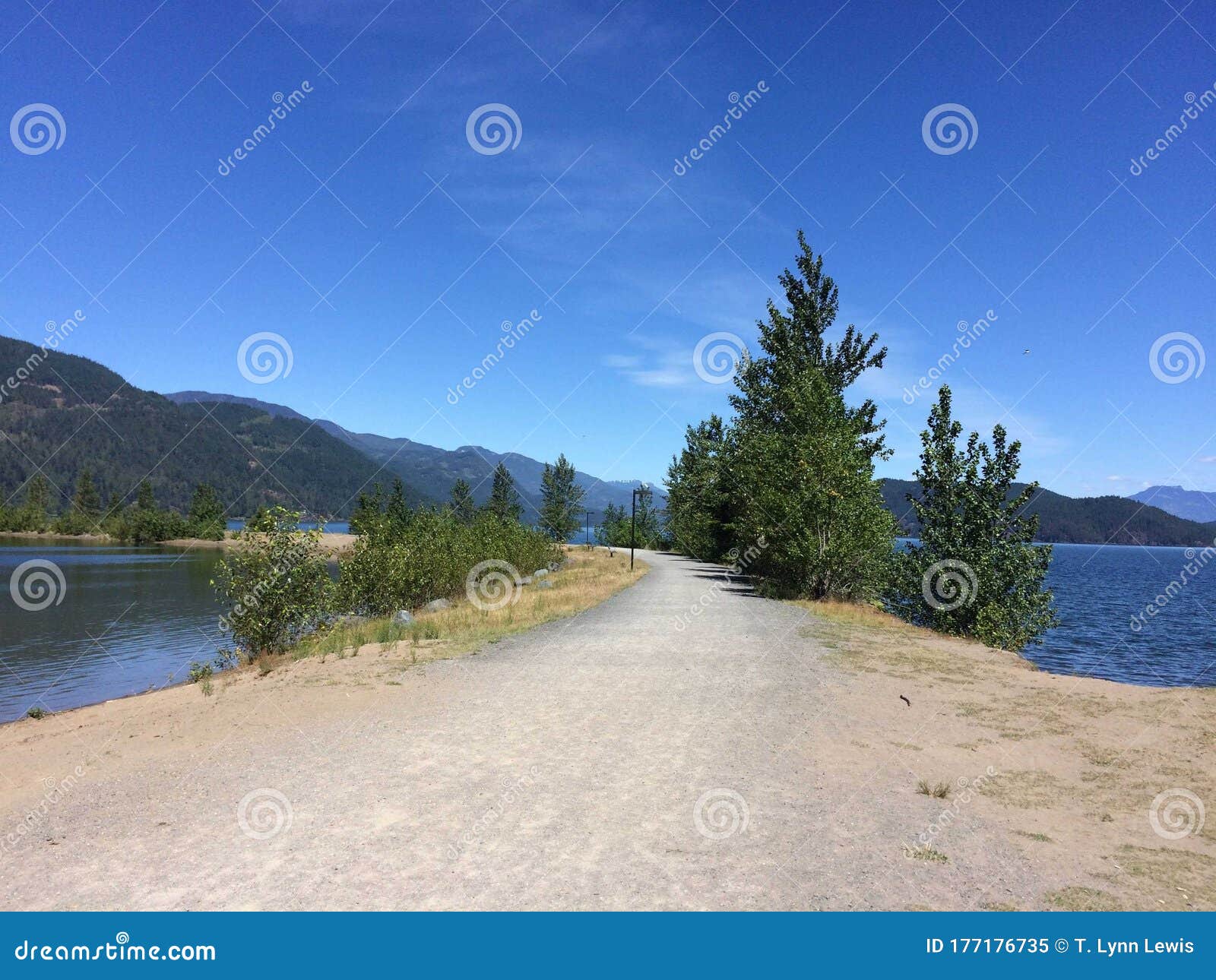 Pathway through the Lake stock image. Image of trees - 177176735
