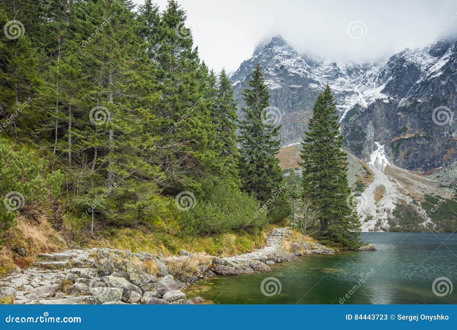 Pathway by Lake Shore and Pine Forest Stock Image - Image of tatry ...