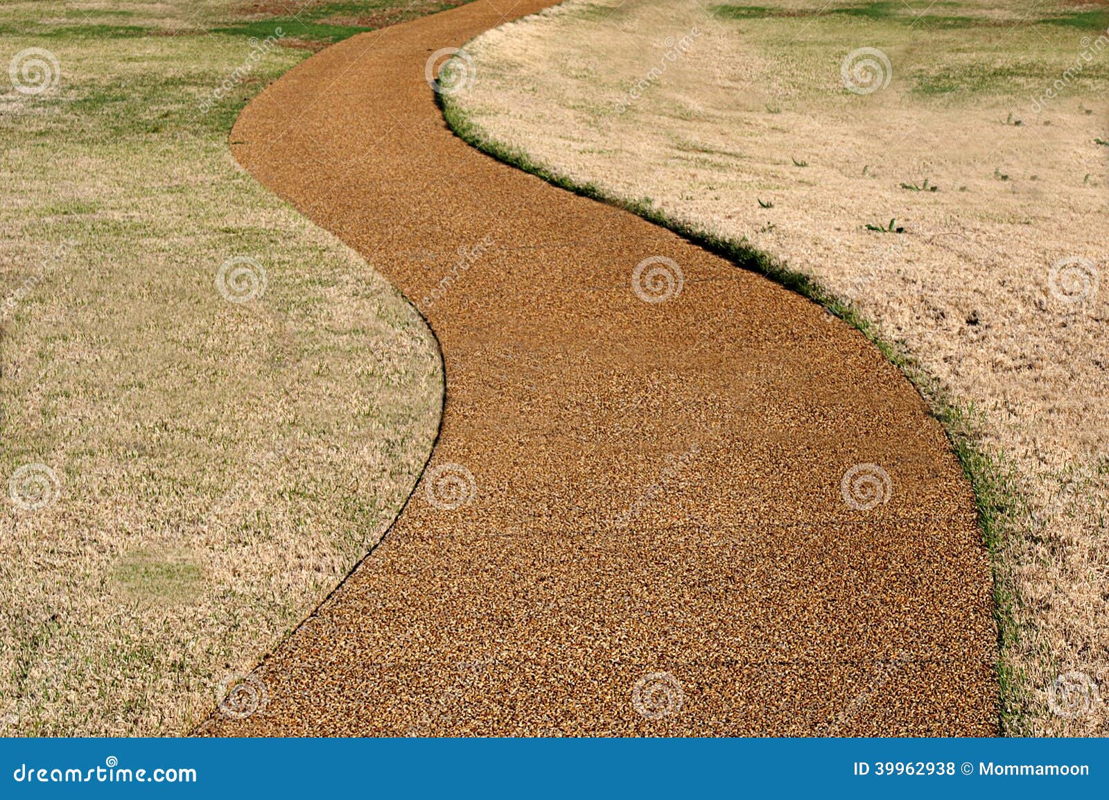 Pathway through Lawn stock photo. Image of garden, surface - 39962938