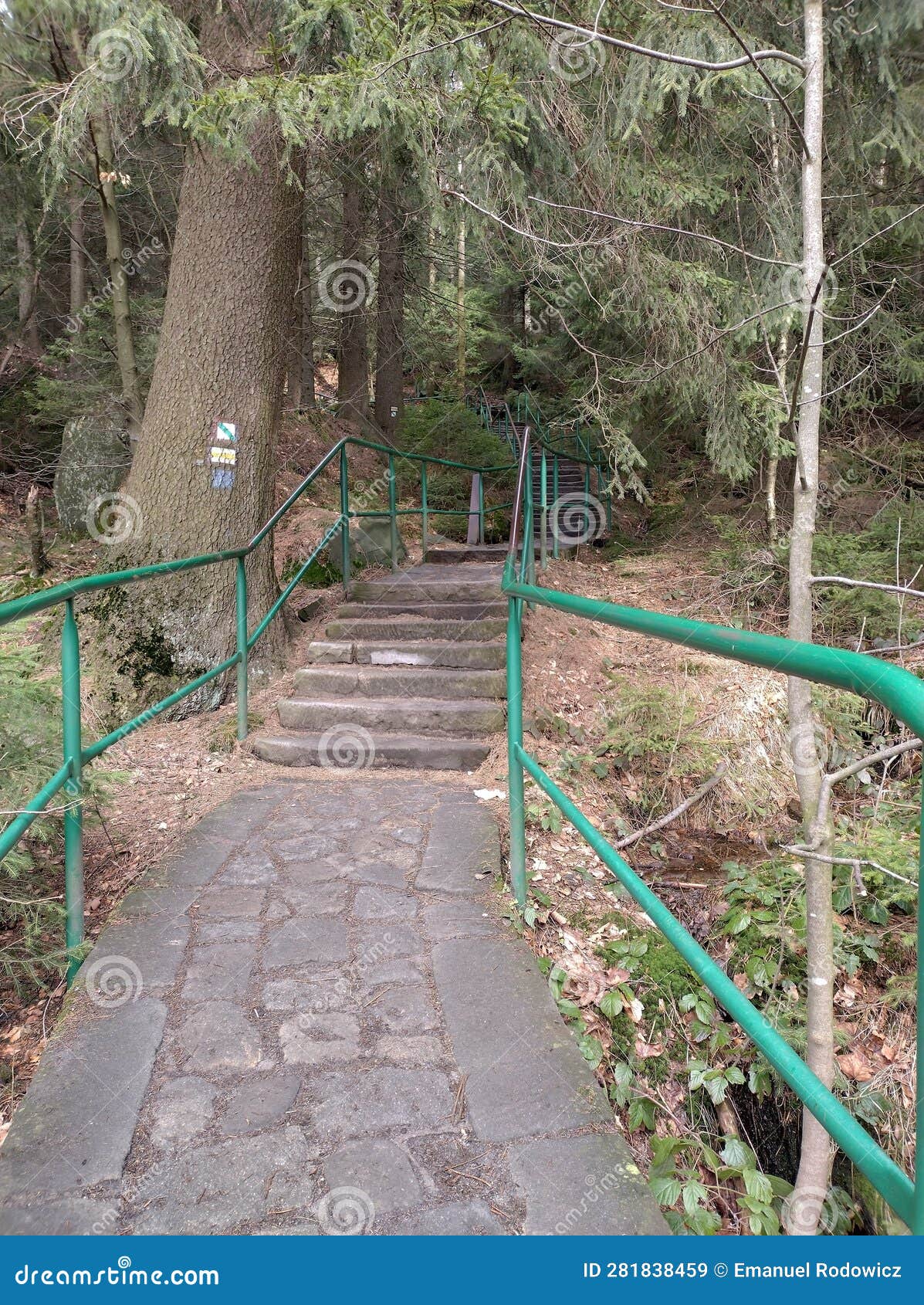 Pathway Leading through a Forest Stock Image - Image of bridge, park ...