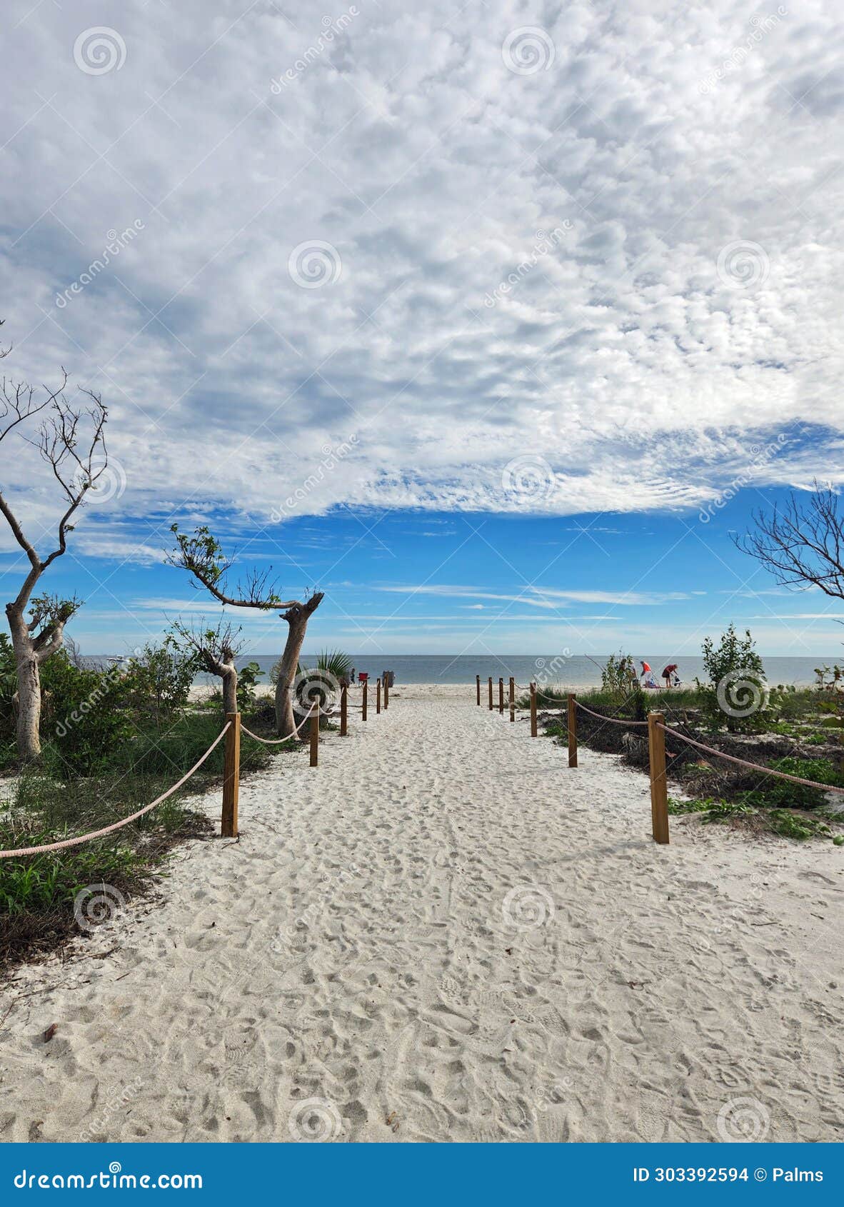 Sandy Pathway Leading To a Sanibel Beach Stock Photo - Image of beach ...