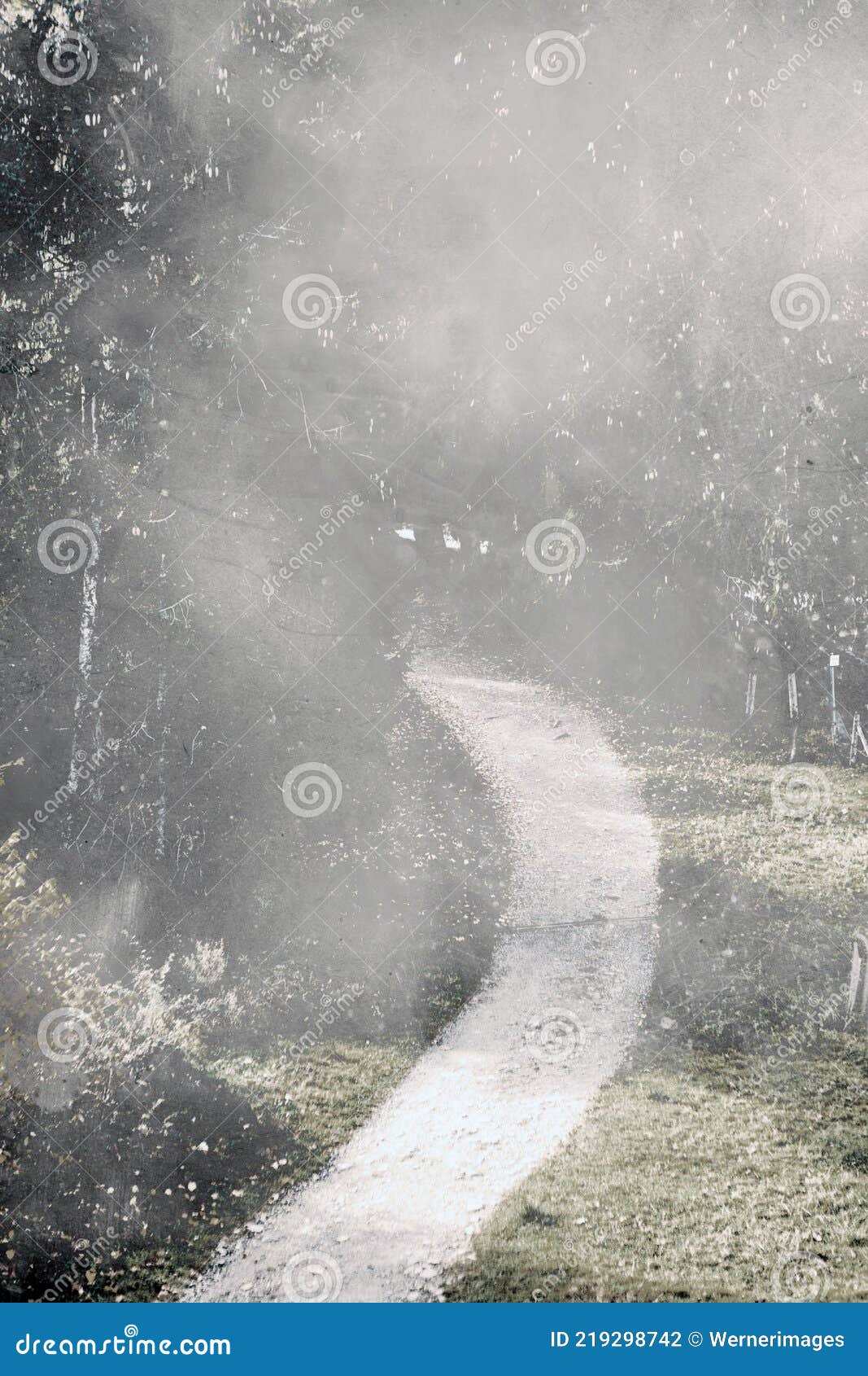 Pathway Leading To a Dark Foggy Forest Stock Photo - Image of road ...