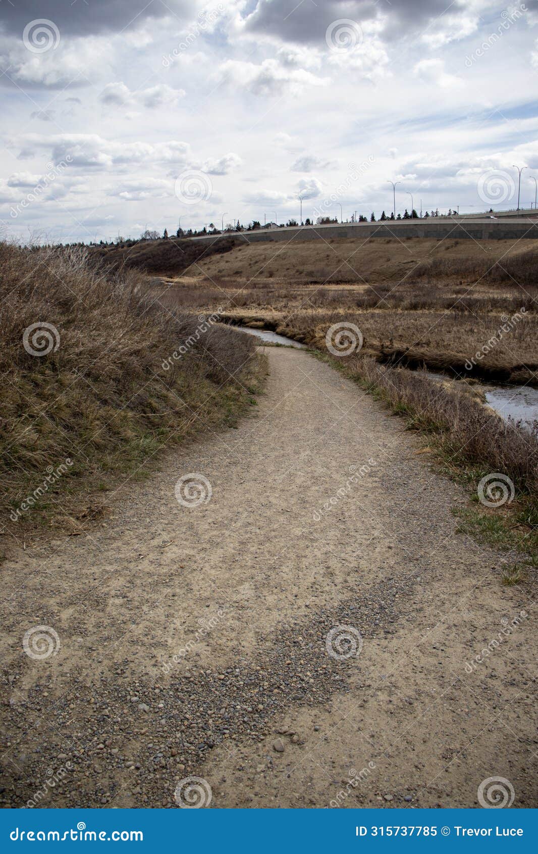 Pathway Leading To Small Stream Stock Image - Image of peaceful ...