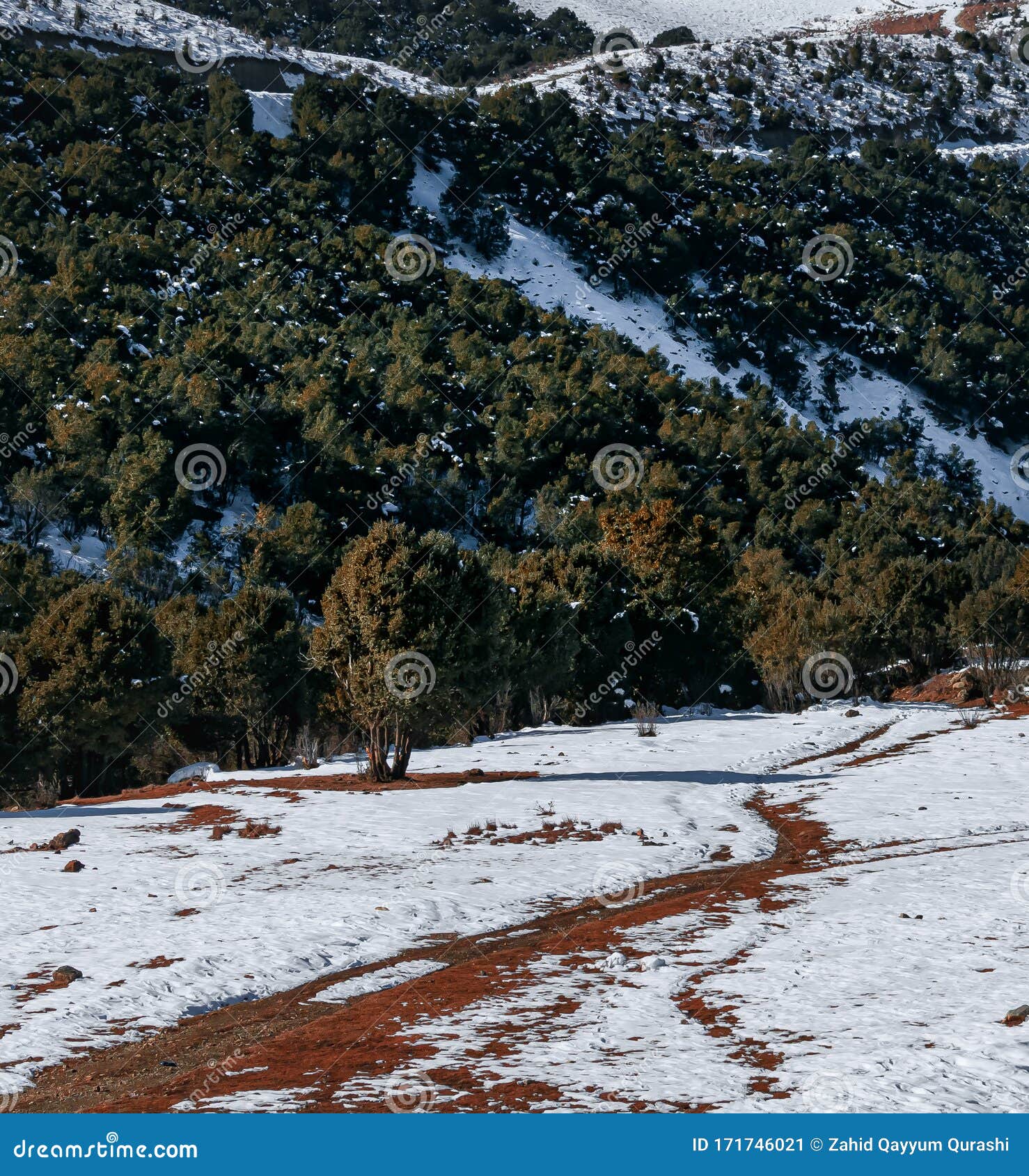 Pathway Leading To a Snow Covered Mountains Stock Image - Image of ...