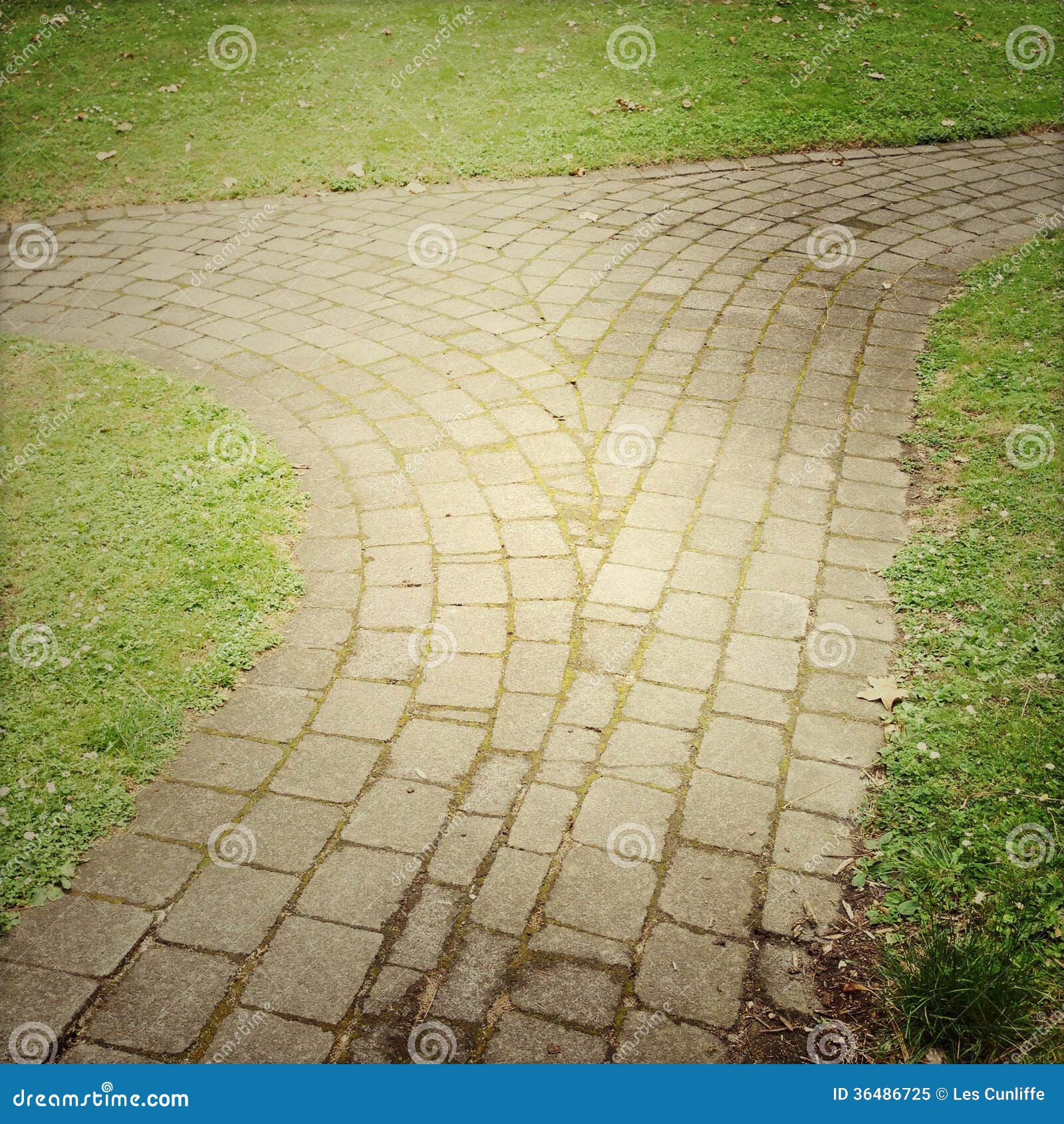 Pathway stock image. Image of strategy, dilemma, path - 36486725