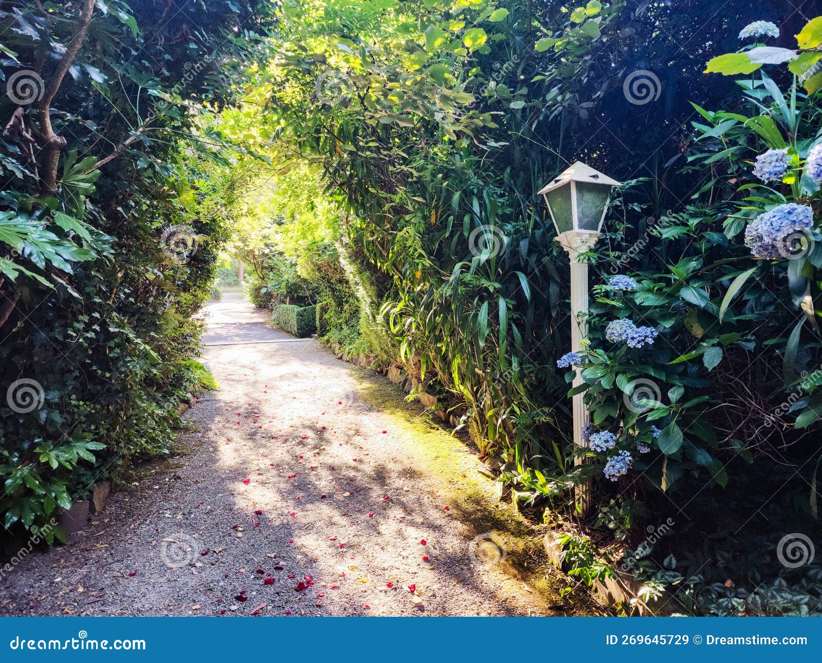 Pathway with Light at Nature Gardens with Lantern Stock Image - Image ...