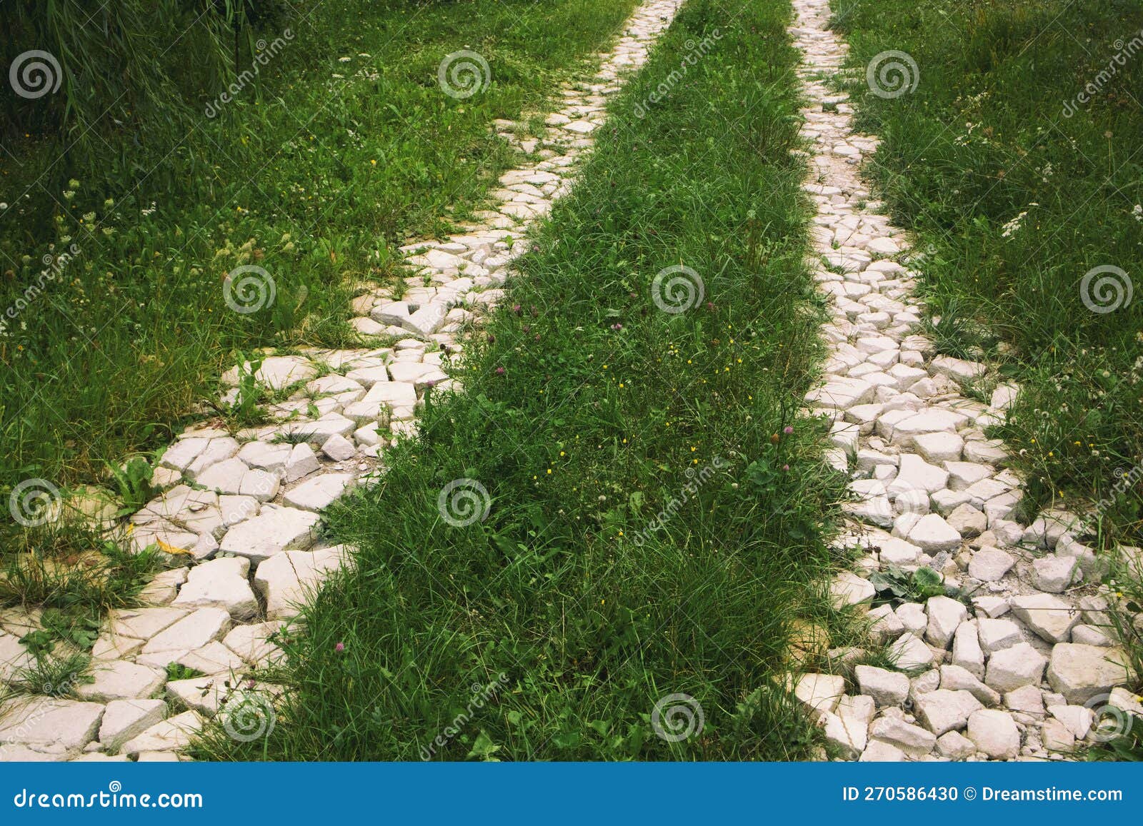 Pathway Lined with Stones and Grass Stock Photo - Image of design ...