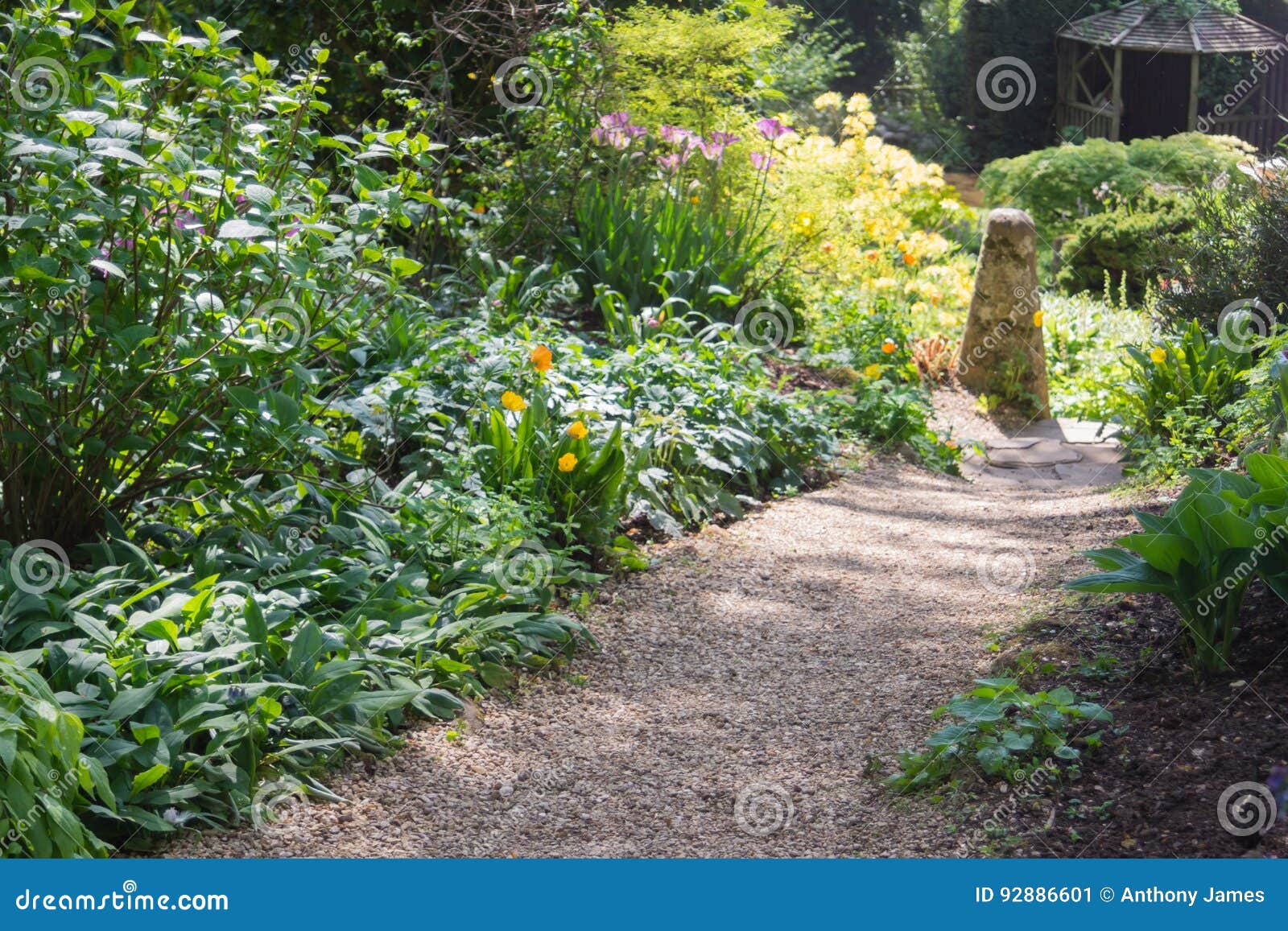 Pathway in a Local Garden at Springtime Stock Image - Image of bushes ...
