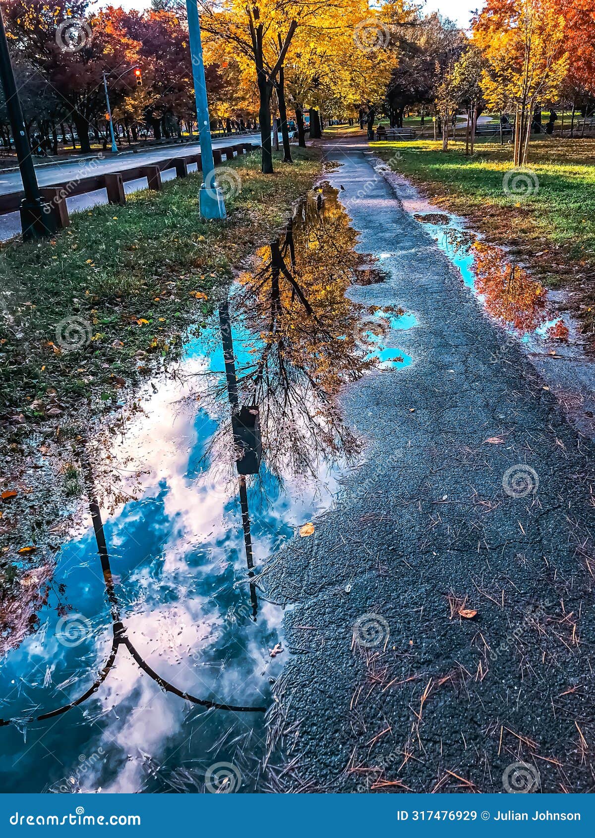 Another Ordinary Day in the Bronx. Stock Image - Image of puddle ...