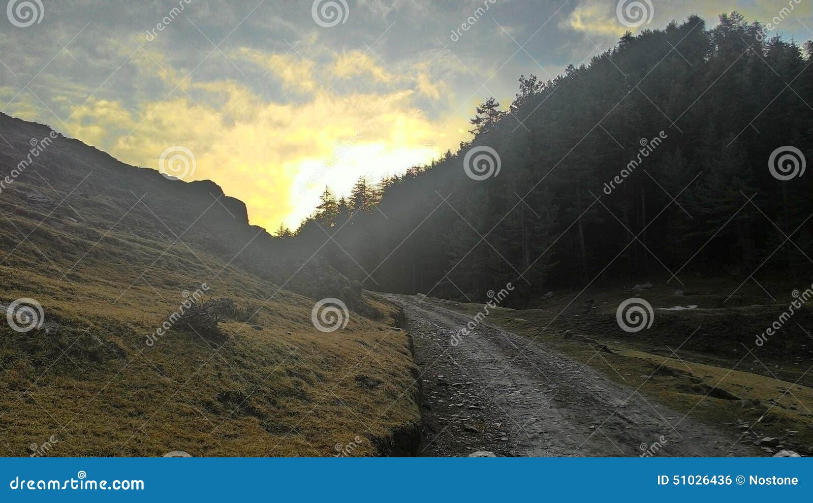 Pathway stock photo. Image of grass, clouds, black, woods - 51026436