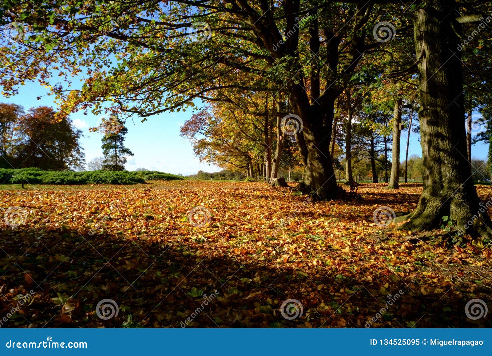 Lydiard Park stock image. Image of palace, vacation - 134525095