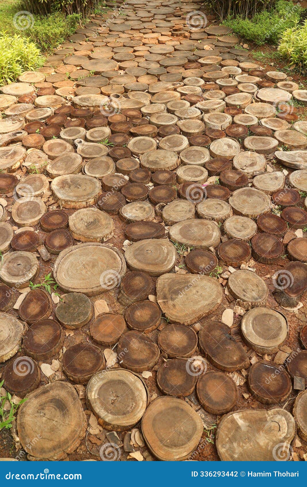 Pathway Made of Tree Stumps in a Garden Stock Photo - Image of park ...