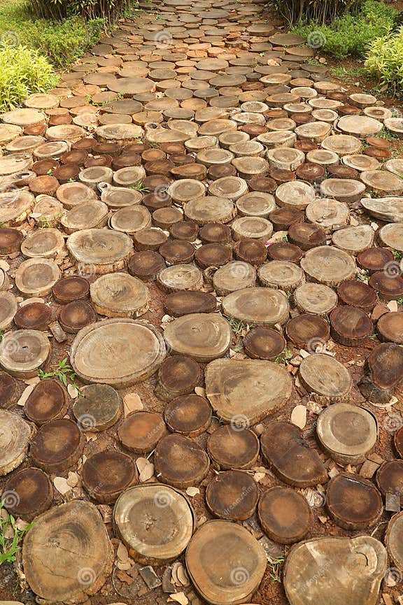 Pathway Made of Tree Stumps in a Garden Stock Photo - Image of park ...