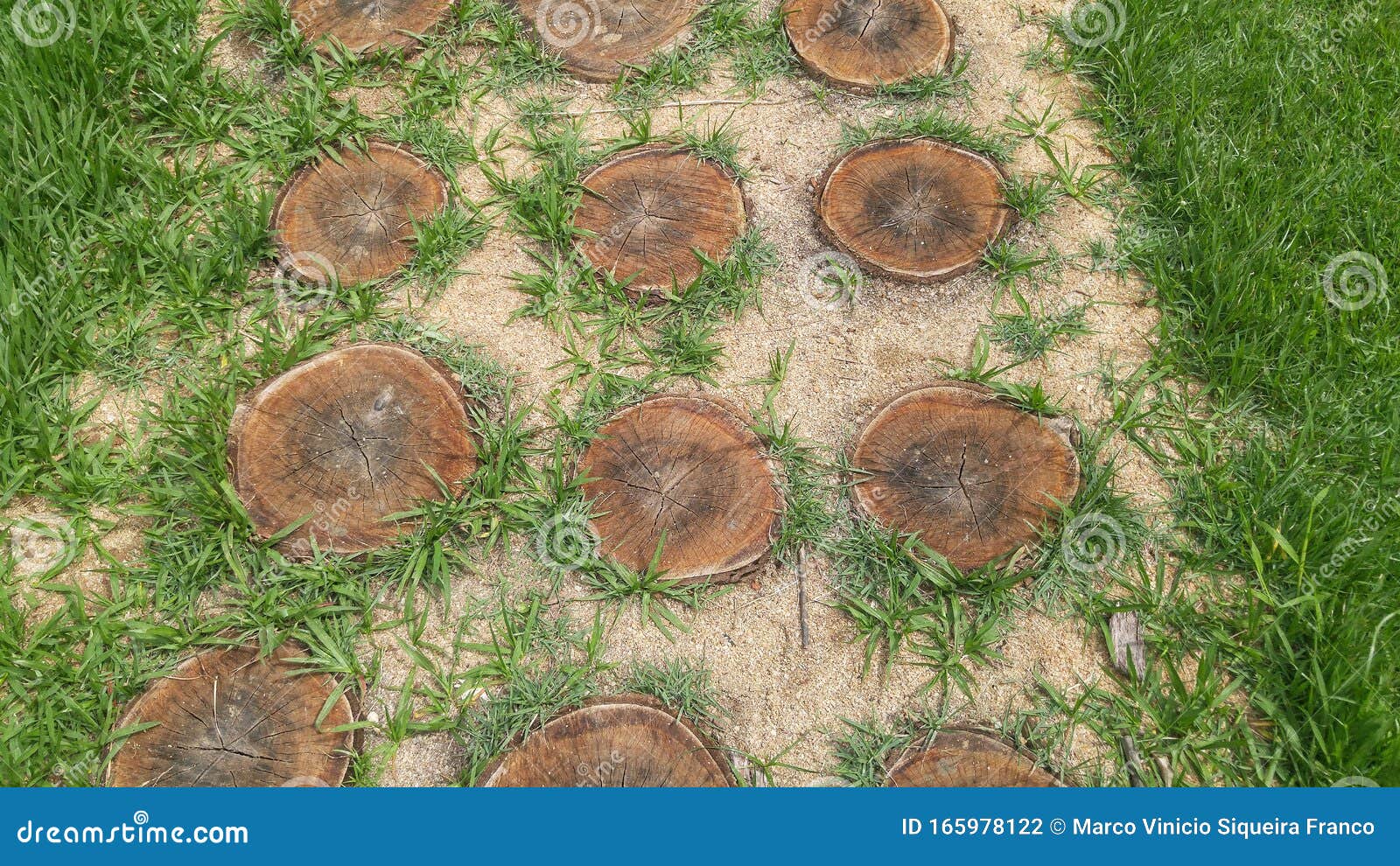 Pathway Made by Tree Trunks Stock Photo - Image of garden, trunk: 165978122