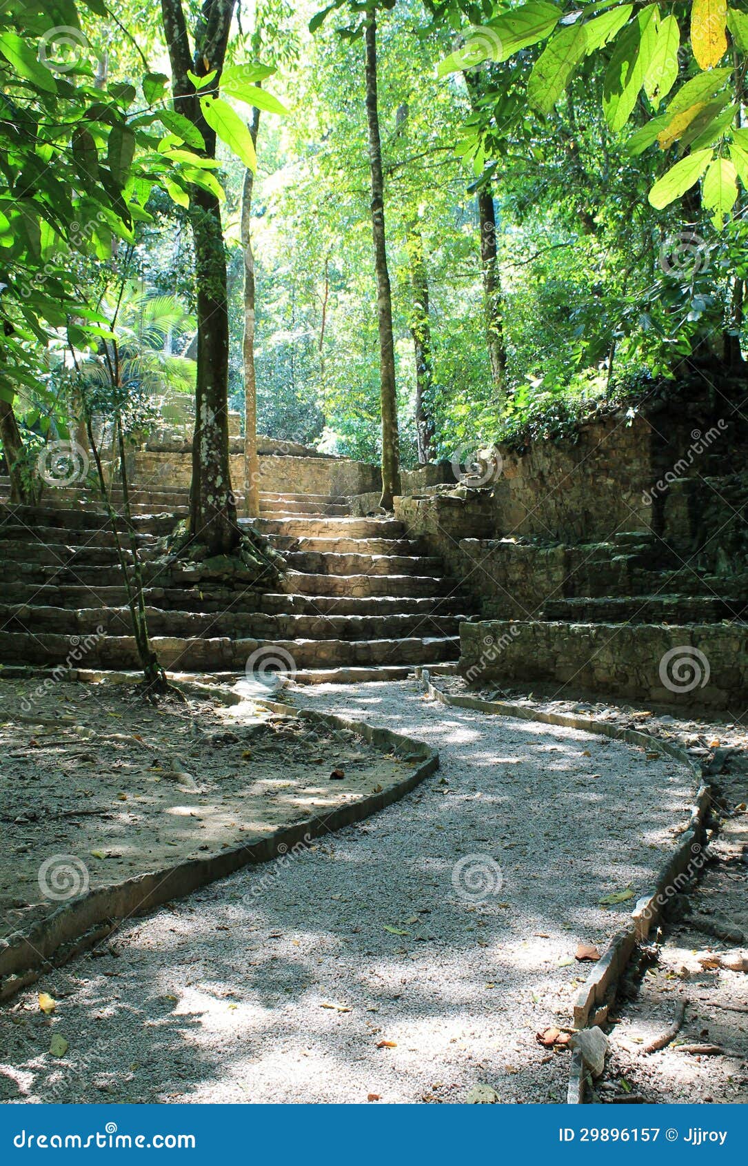 Pathway among the Ruins at Palenque Stock Image - Image of path ...