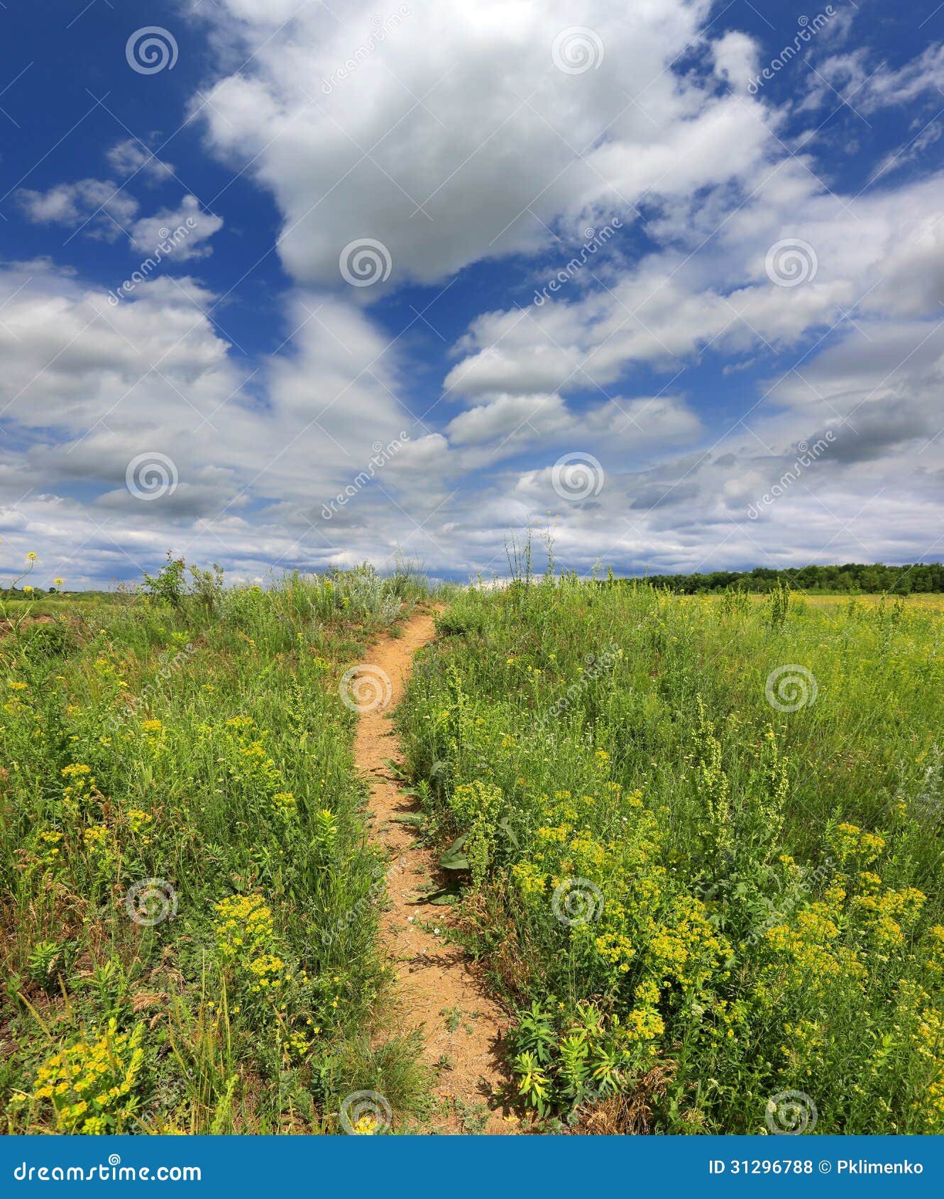 Pathway on meadow stock photo. Image of nature, ground - 31296788