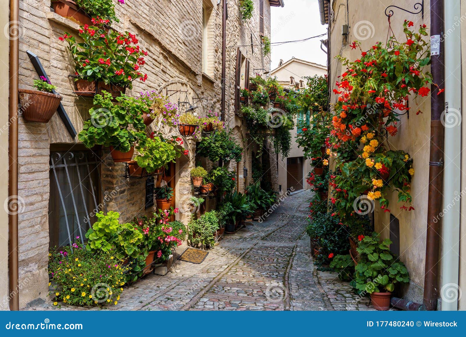 Pathway in the Middle of Buildings with Flower Pots Stock Photo - Image ...