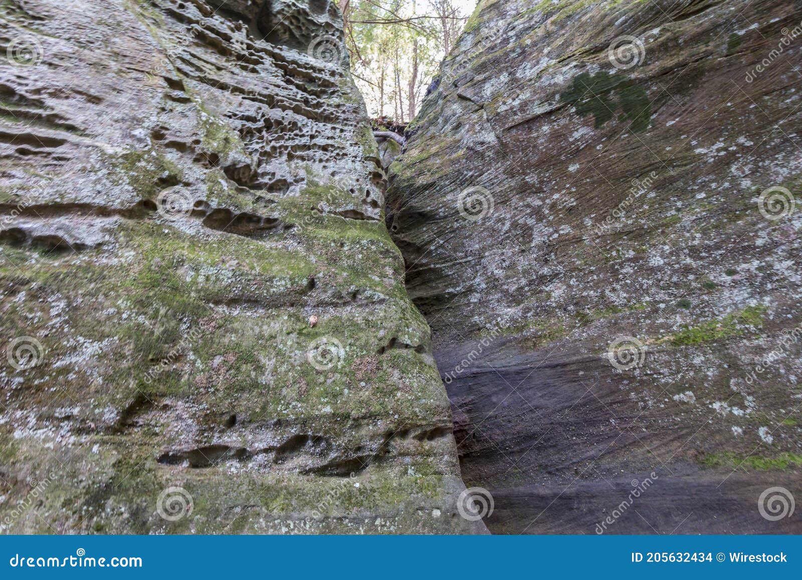 Pathway in the Middle of Cliffs in a Forest Captured during the Daytime ...