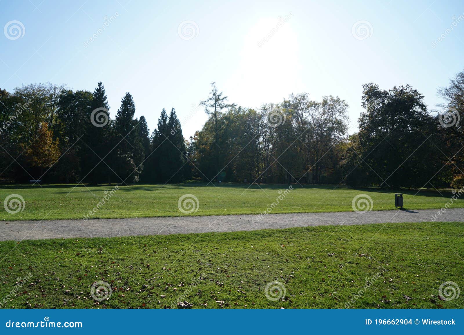 Pathway in the Middle of a Meadow Stock Photo - Image of grass, forest ...